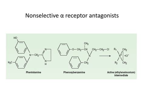 Alpha Blockers Ppt Heart And Cardiovascular Diseases Diseases And