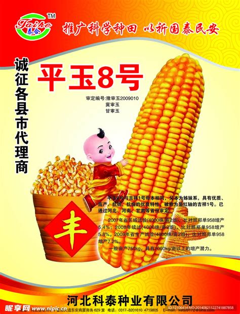 玉米海报设计图psd分层素材psd分层素材设计图库昵图网