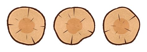 나무 줄기는 나무 나이테로 자릅니다 얇게 썬 나무 줄기 세트 손으로 그린 컬러 나무 질감입니다 벡터 0명에 대한 스톡 벡터 아트 및 기타 이미지 Istock