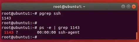 how to view running processes on linux