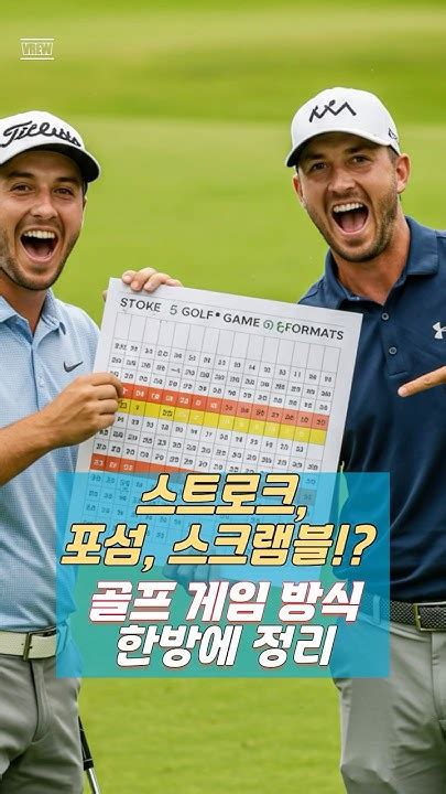 이거 모르면 민폐 골린이 스트로크부터 포섬까지 한방 정리 골프게임방식 골프룰 포섬골프 스크램블골프 매치플레이 스트로크플레이골프팁 하이머니패밀리