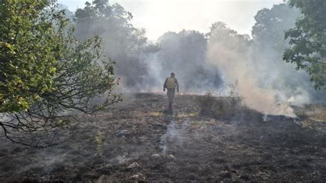 Bulbox Информационен портал