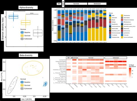 Bacteriome Analysis Based On 16s Rrna Gene Amplicon Sequencing A The