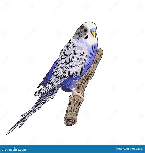Vivid Realistic Parrot Sitting On Tree Branch Stock Illustration Illustration Of Flying Tree