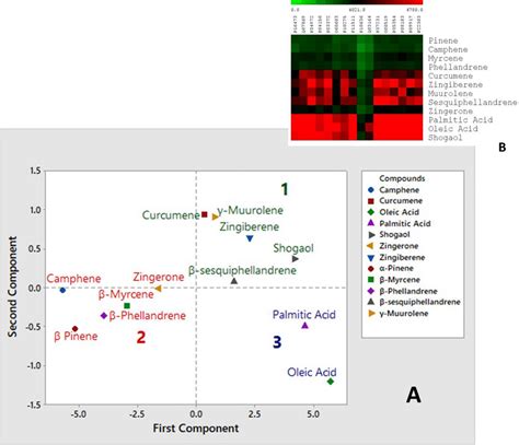 A Principal Component Analysis Pca Graph Showing Three Different Download Scientific Diagram