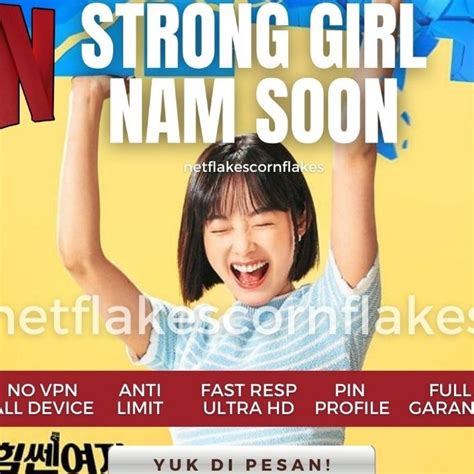 Jual Harga Murah Netplikk 30 Hari 60 Hari 90 Hari Full Garansi 100