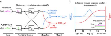 MCD Model A Schematic Representation Of The Model The MCD Download Scientific Diagram