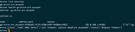 register service error too many colons in address · issue 593 · micro