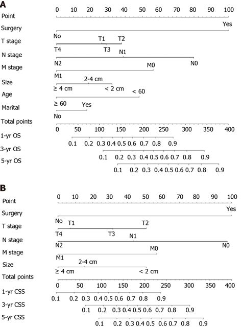Nomograms For Predicting Overall Survival And Cause Specific Survival Download Scientific