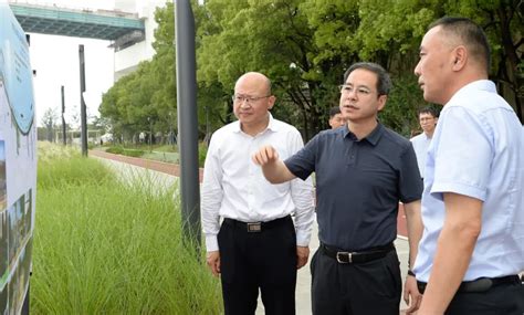 浦东新区区领导调研黄浦江东岸滨江公共空间南延伸贯通工程、规划筠溪小镇