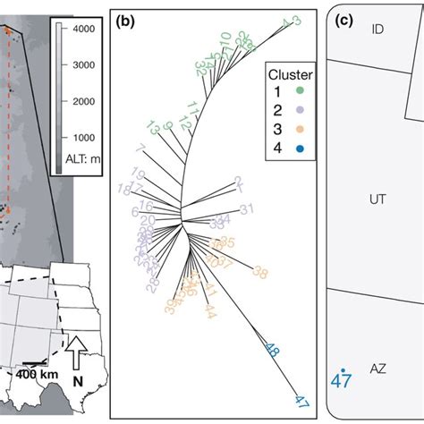 A Minimum Convex Polygon Mcp Of Species Range Black Line Around