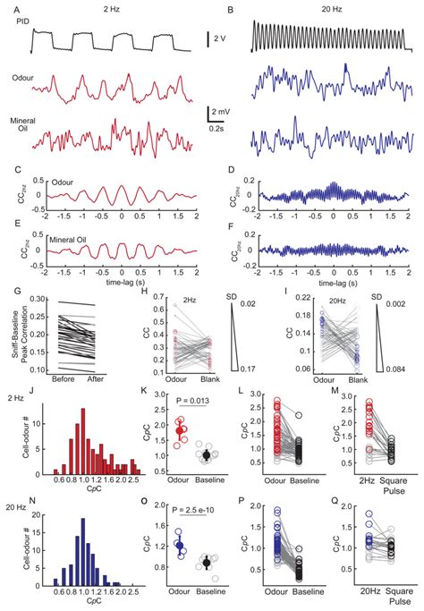 Olfactory Bulb Neurons Can Follow Temporally Structured Odour Stimuli Download Scientific