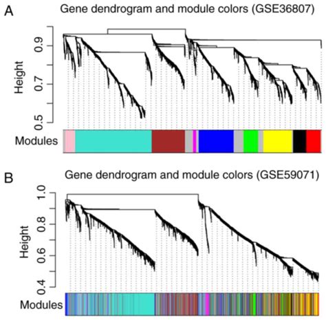 Comprehensive Analysis Of Gene Expression Profiles Provides Insight Into The Pathogenesis Of