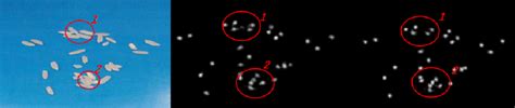 original image and two kinds of algorithm detection results download