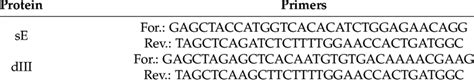Primers Used For Recombinant Protein Cloning Download Scientific Diagram