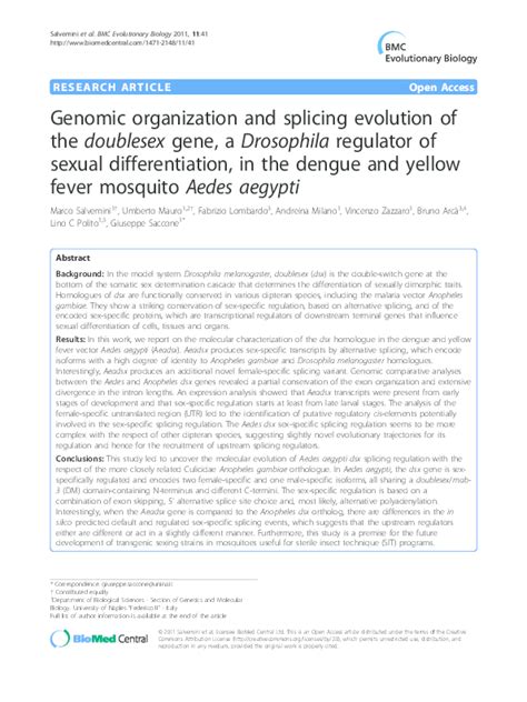 Pdf Genomic Organization And Splicing Evolution Of The Doublesex Gene A Drosophila Regulator