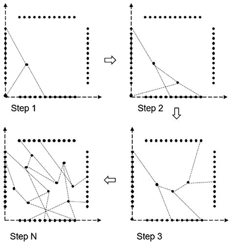 visualization of first few steps of placement download scientific