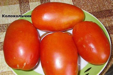Томат Колокольчик: отзывы, фото, урожайность, характеристики и описание ...