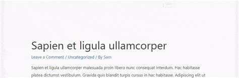 How To Add Infinite Scroll To Your Wordpress Site Step By Step