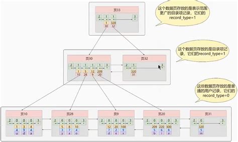 Mysql进阶索引篇 个新特性 条设计原则教你创建索引四 阿里云开发者社区