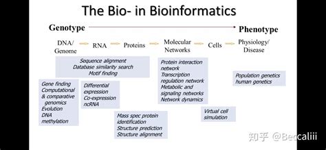 【读书笔记】北京大学生物信息学导论与方法课程 知乎