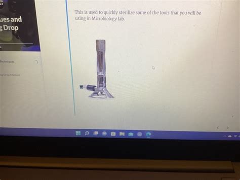 MCB Module 2 Flashcards Quizlet