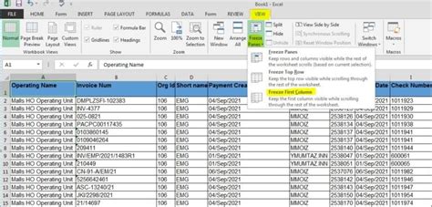 How To Freeze Rows In Excel Freeze Panes Function In Excel