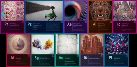 Exploring The Different Types Of Adobe Software And Their Uses CLS Learn