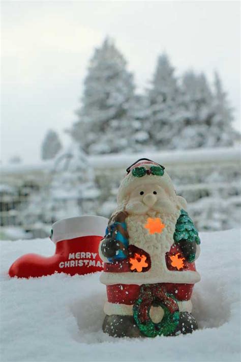 Merry Christmas 北の安曇野 小さな庭