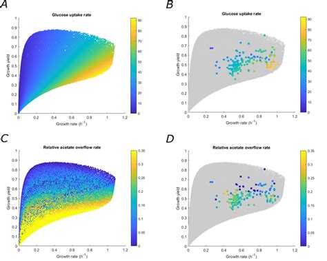 predicted flux phenotypes and comparison with experimental data a