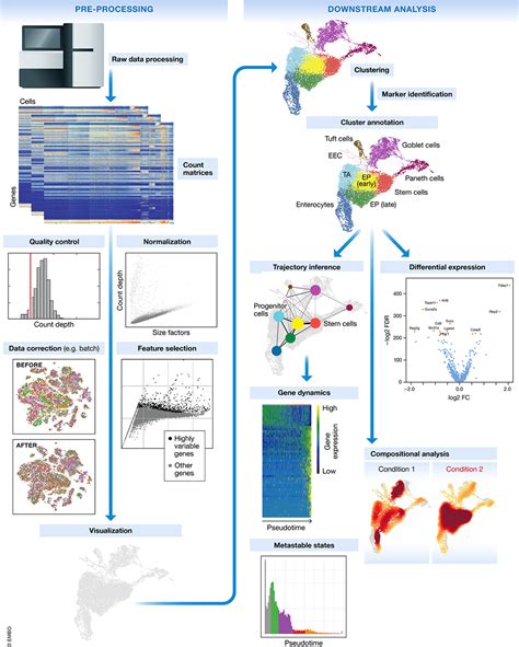 Chapter 1 Introduction To Scrna Seq A Guide To Analyzing Single Cell