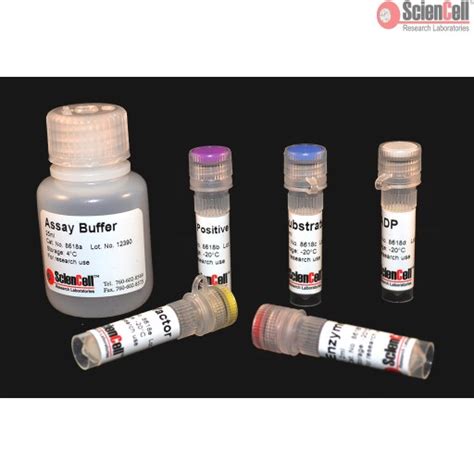 Sciencell Enzyme Activity Assay Kit Team Medical And Scientific Sdn Bhd
