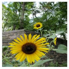 Retraining An Image Classifier TensorFlow Hub