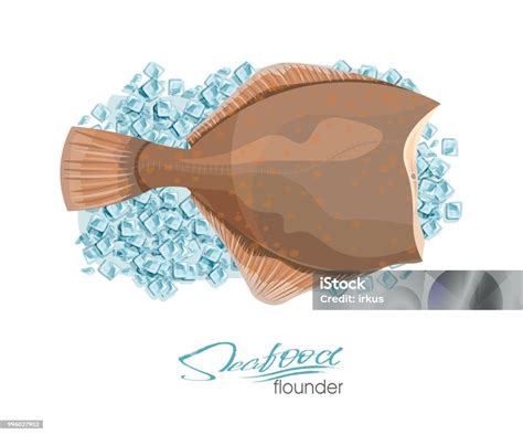 올리브 넙치입니다 흰색 배경에 고립 된 얼음 조각에 벡터 일러스트 레이 션 바다 물고기 아이콘 배지 넙치 디자인 해산물 포장 및 시장에 대 한 물고기 건강한 생활방식에 대한