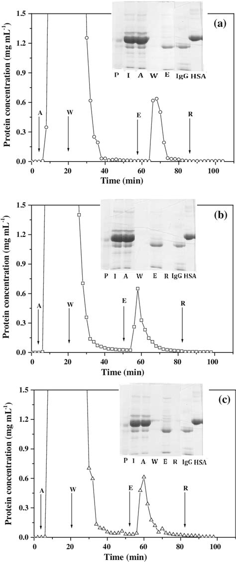Effect Of The Buffer System On The Adsorption And Elution Of IgG From Download Scientific