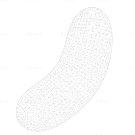 Mitochondria 3d Model