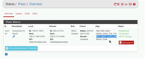 Cybrary Lab Walkthrough Vpn Basics