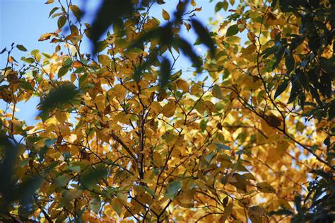 云南旅游图片素材 云南旅游设计素材 云南旅游摄影作品 云南旅游源文件下载 云南旅游图片素材下载 云南旅游背景素材 云南旅游模板下载 搜索中心
