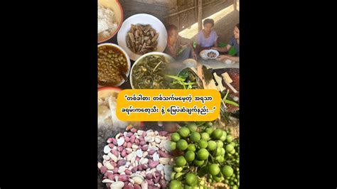 ခရမ်းကဆော့သီး နဲ့ မြေပဲဆံချက်နည်း” Youtube