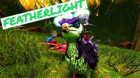 Featherlight The Best Light Tame Youtube