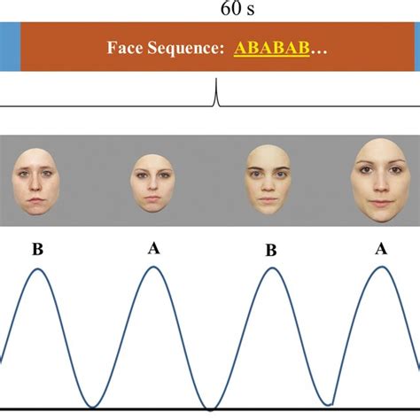 Experimental Design For The CONTRAST Condition Faces Rated As More Download Scientific Diagram