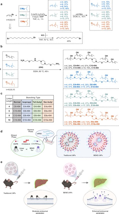 支链内体破坏物 （bend） 脂质介导 Mrna 和 Crispr Cas9 核糖核蛋白复合物的递送，用于肝脏基因编辑和 T 细胞工程 Nature Communications X Mol