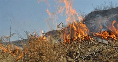 Ой хээрийн түймрээс сэргийлэхийг үүрэг болгожээ