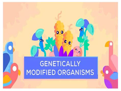 Gmos With Animation Spptx