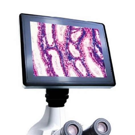 Medcounty 100x Fluorescent Microscope At ₹ 295000 Piece In Ambala Id 24267128830