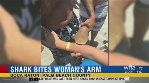 Nurse Shark Bites Woman Gets Attached To Her Arm Youtube
