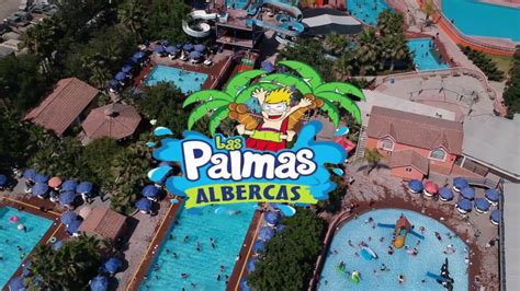 Albercas Las Palmas Youtube