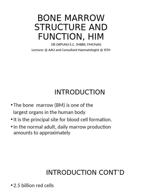 Bone Marrow Structurefunction And Him Autosaved Pdf