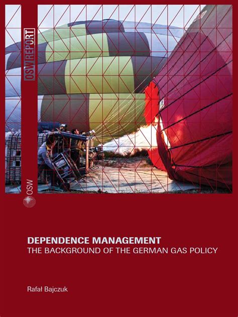 raport dependence management net pdf