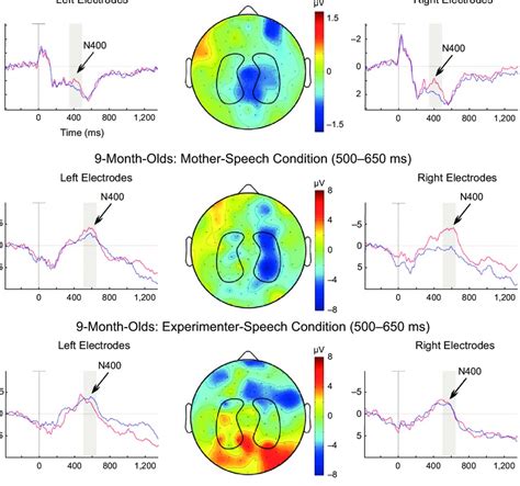 Event Related Potential Erp Results The Figure Shows Grand Average Download Scientific